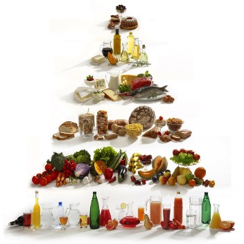 The Food Pyramid Fallacy: Why We Have Been Receiving The Wrong ...