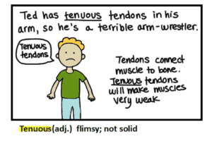 How to Increase Your Muscle Definition Safely - MEDICAL ISLAND