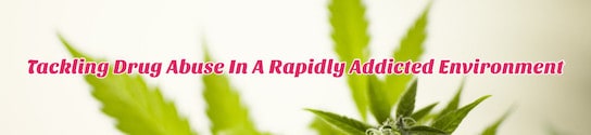 Tackling Drug Abuse In A Rapidly Addicted Environment